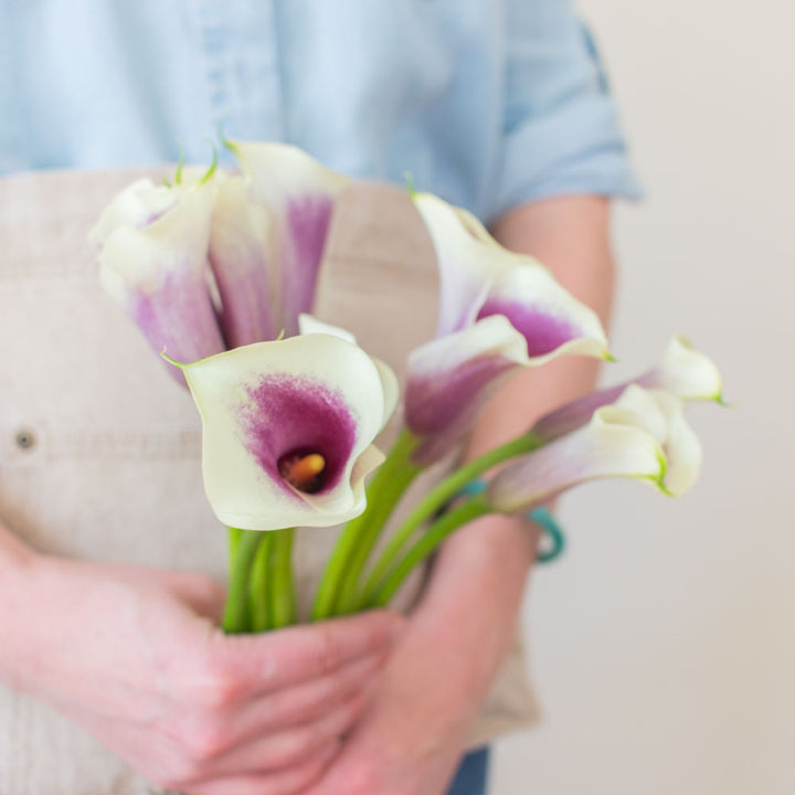 Picasso Calla Lily | DIY Wedding Flowers | Flower Moxie