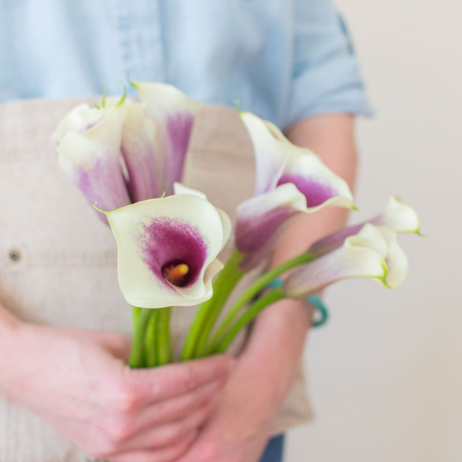 Picasso Calla Lily | DIY Wedding Flowers | Flower Moxie