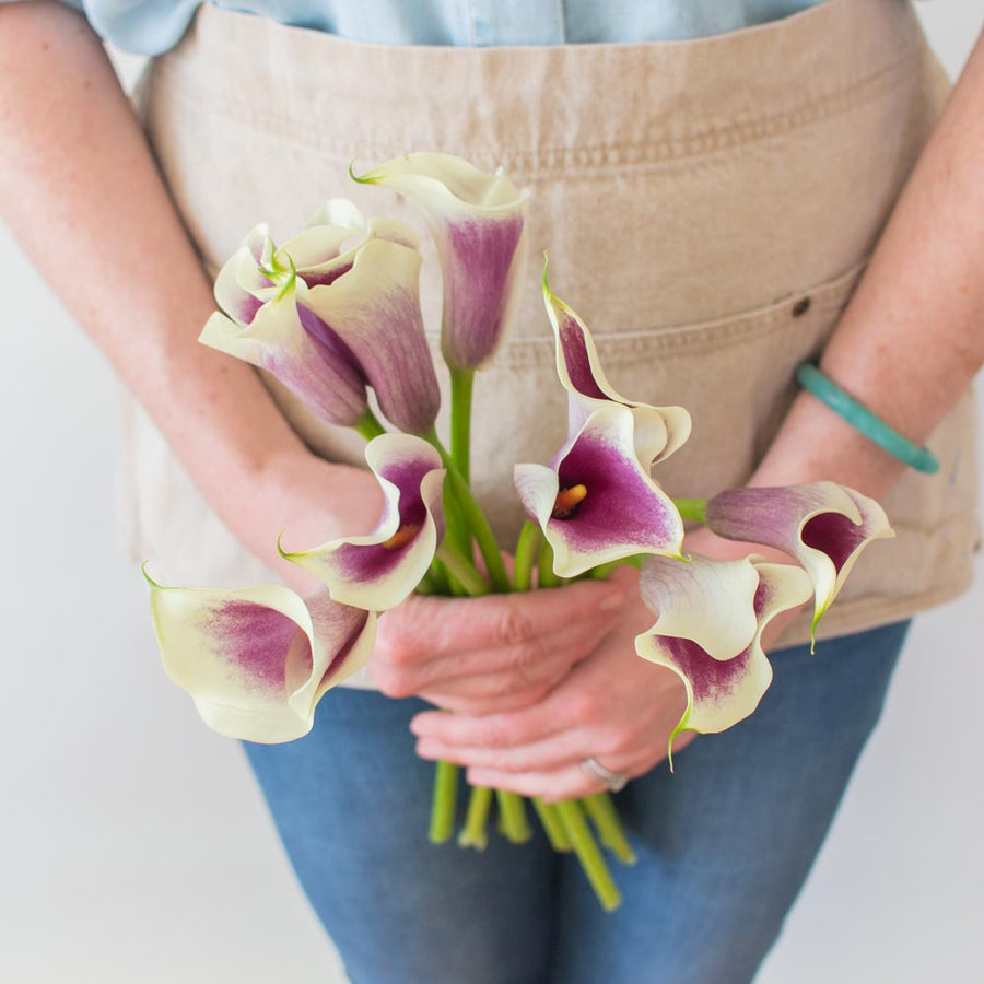 Picasso Calla Lily | DIY Wedding Flowers | Flower Moxie