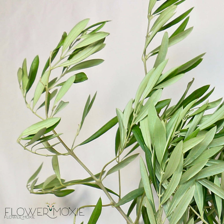 Wedding Greenery | Bulk Fresh Greens & Foliage Flowers – Flower Moxie