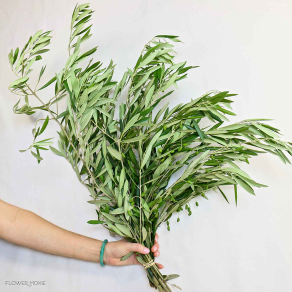 Wedding Greenery | Bulk Fresh Greens & Foliage Flowers – Flower Moxie
