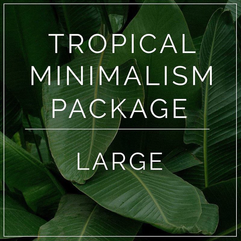 Tropical Minimalism Package | DIY Wedding Flowers | Flower Moxie