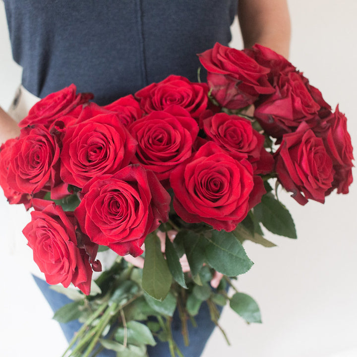 Red Freedom Roses | Bulk Fresh DIY Wedding Flowers | Flower Moxie