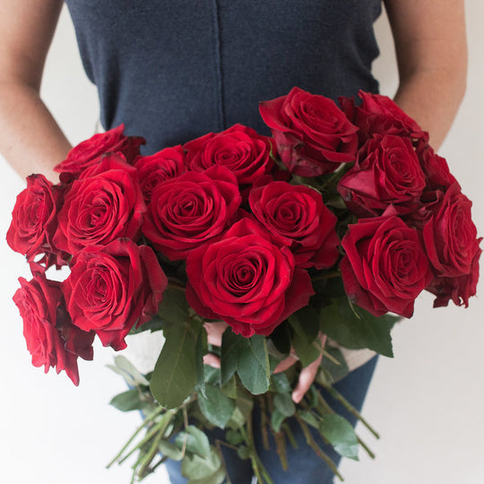 Red Freedom Roses | Bulk Fresh DIY Wedding Flowers | Flower Moxie