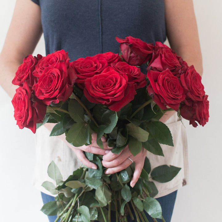 Red Freedom Roses | Bulk Fresh DIY Wedding Flowers | Flower Moxie