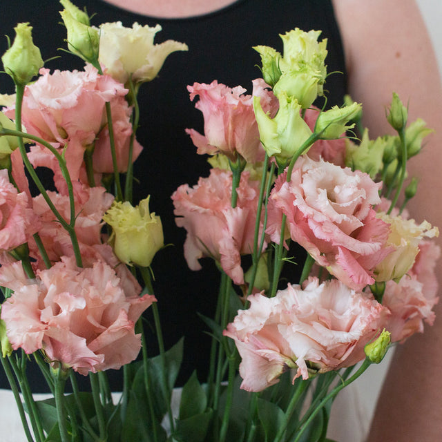 Pink Flowers | Bulk Fresh Flowers for DIY Brides | Flower Moxie