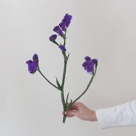 Statice Bulk Wedding Flowers | DIY Wedding Flowers – Flower Moxie