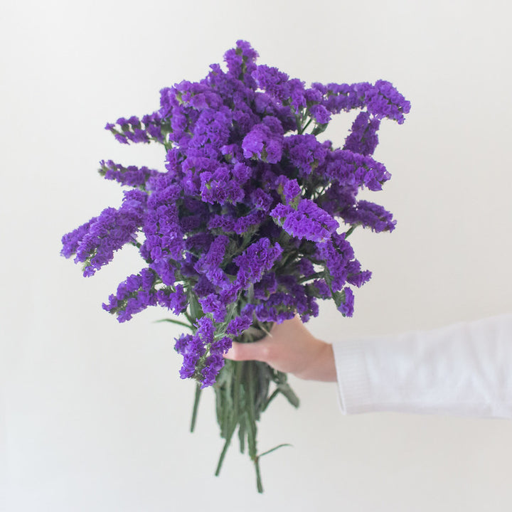 Blue Statice Flower | DIY Wedding Flowers | Flower Moxie