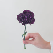 Deep Purple Moonvista Carnation Flowers | Flower Moxie DIY