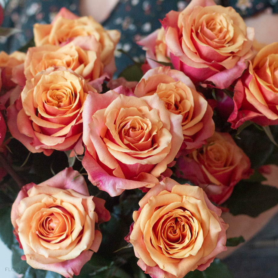 Pink Flowers | Bulk Fresh Flowers for DIY Brides | Flower Moxie – Page 2