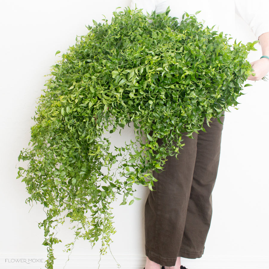 Bulk Smilax Vine Greenery | DIY Wedding Flowers | Flower Moxie
