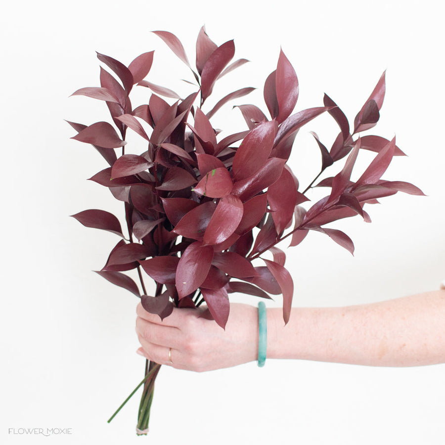 Dyed Burgundy Israeli Ruscus | DIY Wedding Flowers | Flower Moxie