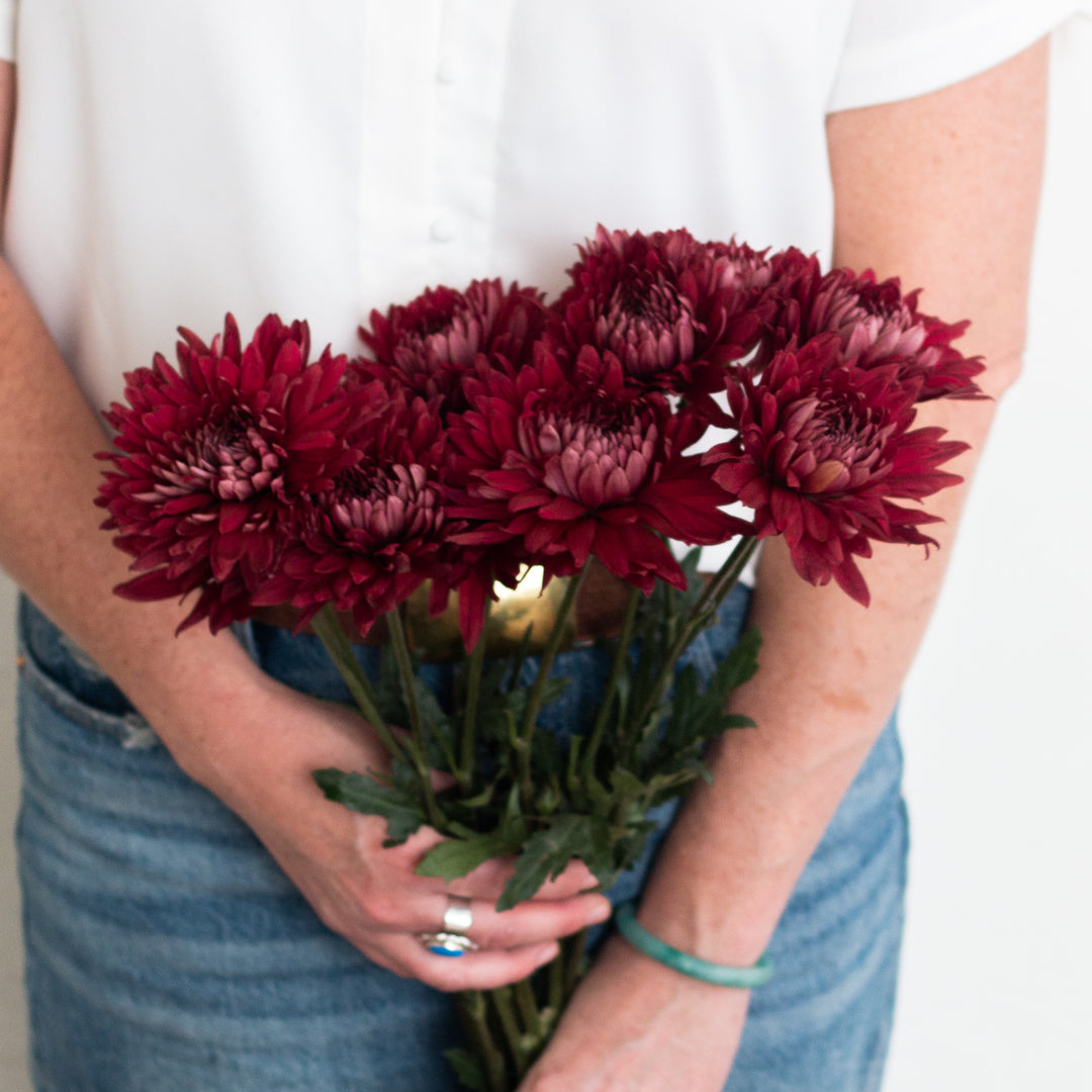 Red Cremone Flower | DIY Wedding Flowers | Flower Moxie