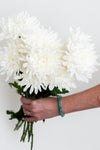 White Cremone Flower | DIY Wedding Flowers | Flower Moxie