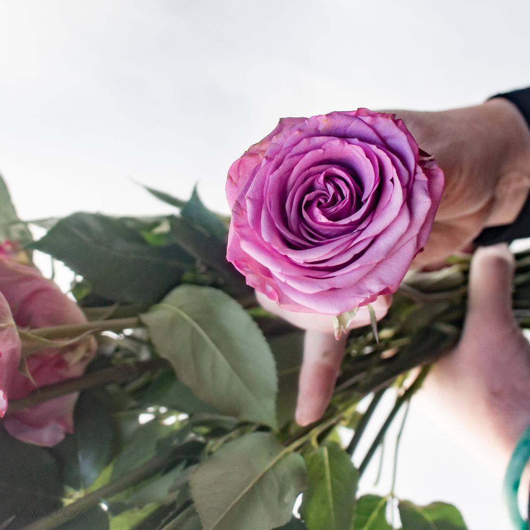 Cool Water Purple Roses | DIY Wedding Flowers | Flower Moxie