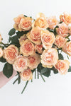 Peach Phoenix Roses | Fresh DIY Wedding Flowers | Flower Moxie