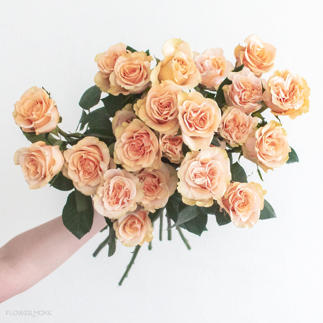 Peach Phoenix Roses | Fresh DIY Wedding Flowers | Flower Moxie