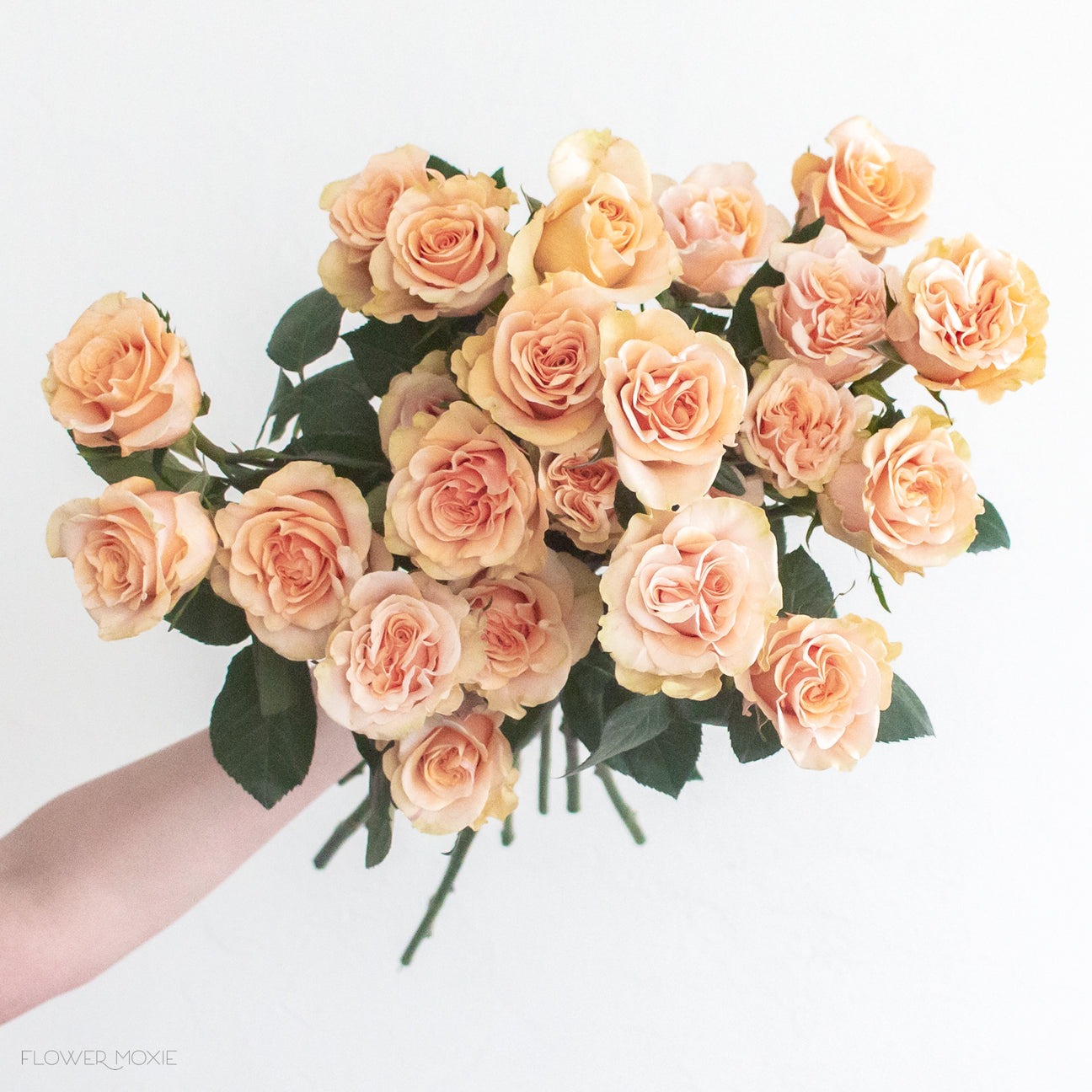 Peach Phoenix Roses | Fresh DIY Wedding Flowers | Flower Moxie