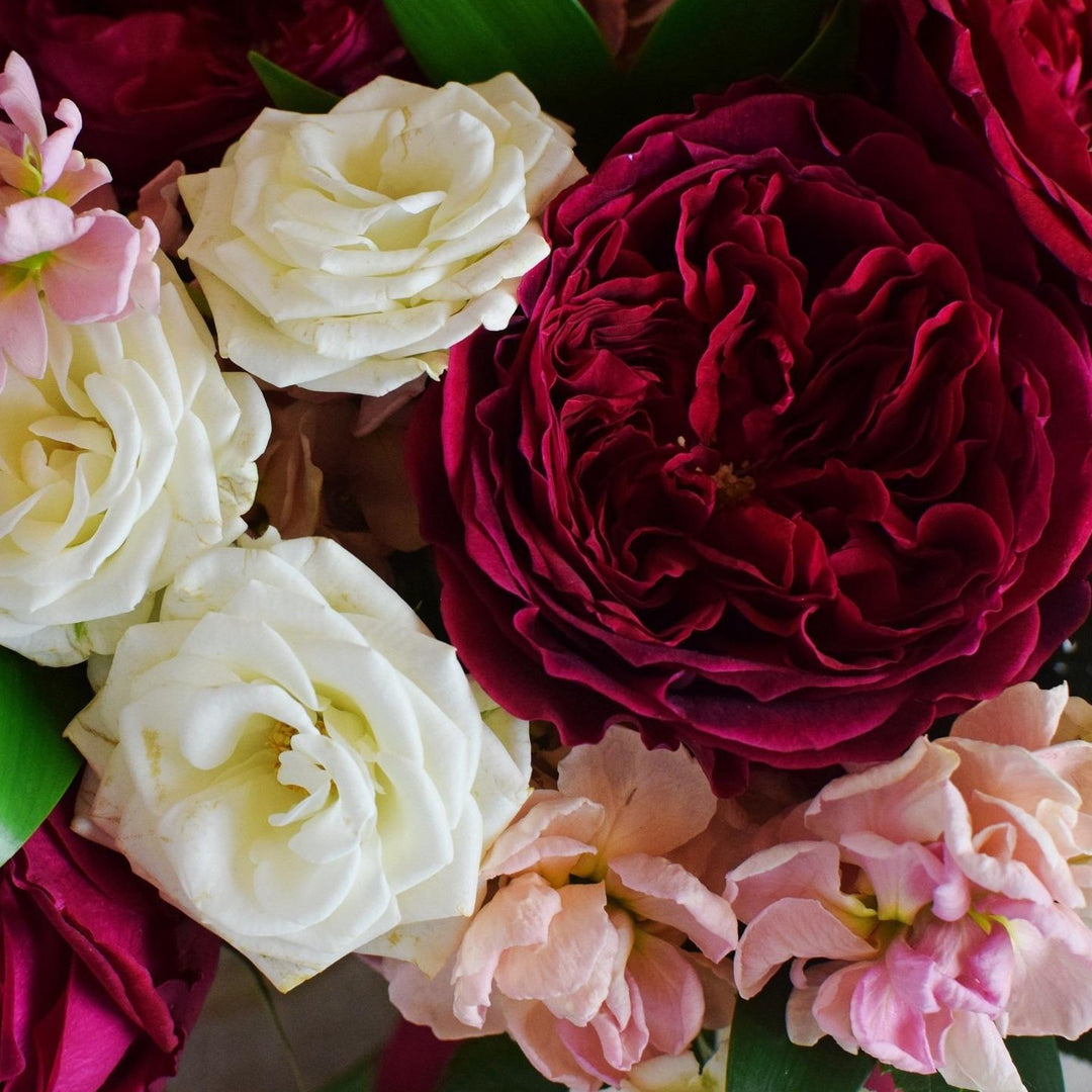 Tess Garden Roses | DIY Wedding Flowers | Flower Moxie