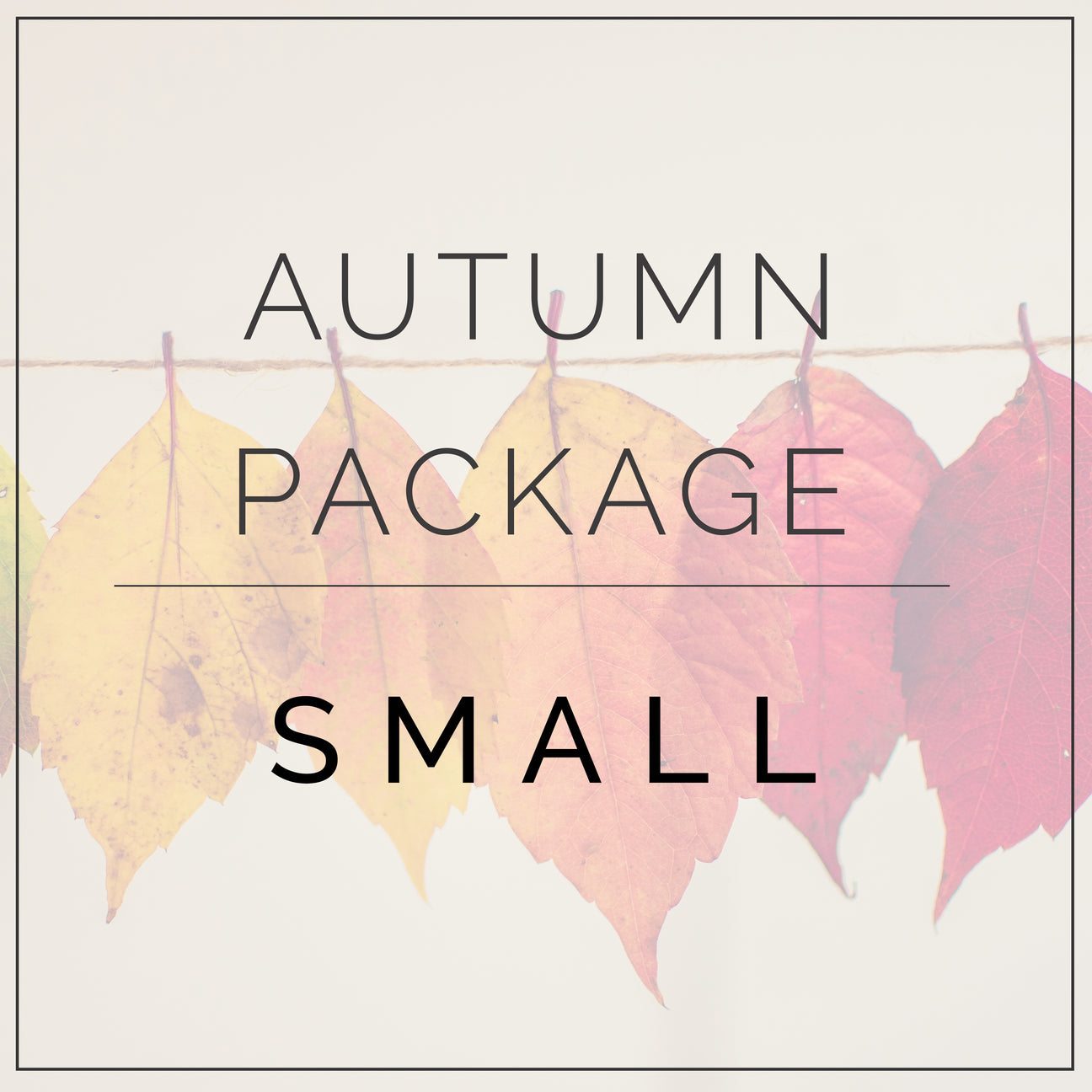 Autumn- Small Package – Flower Moxie