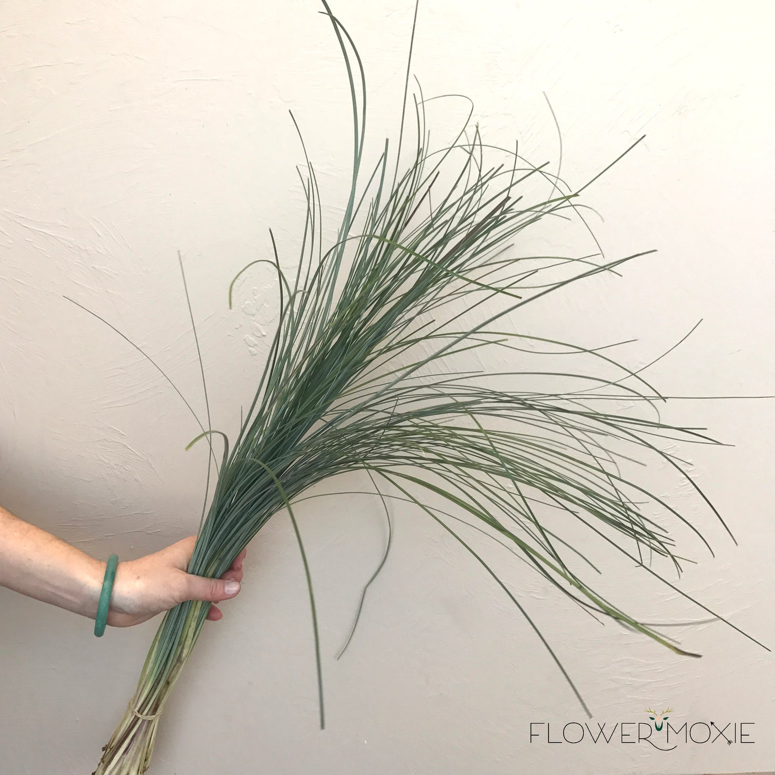Bear Grass Greenery | DIY Wedding Flowers | Flower Moxie