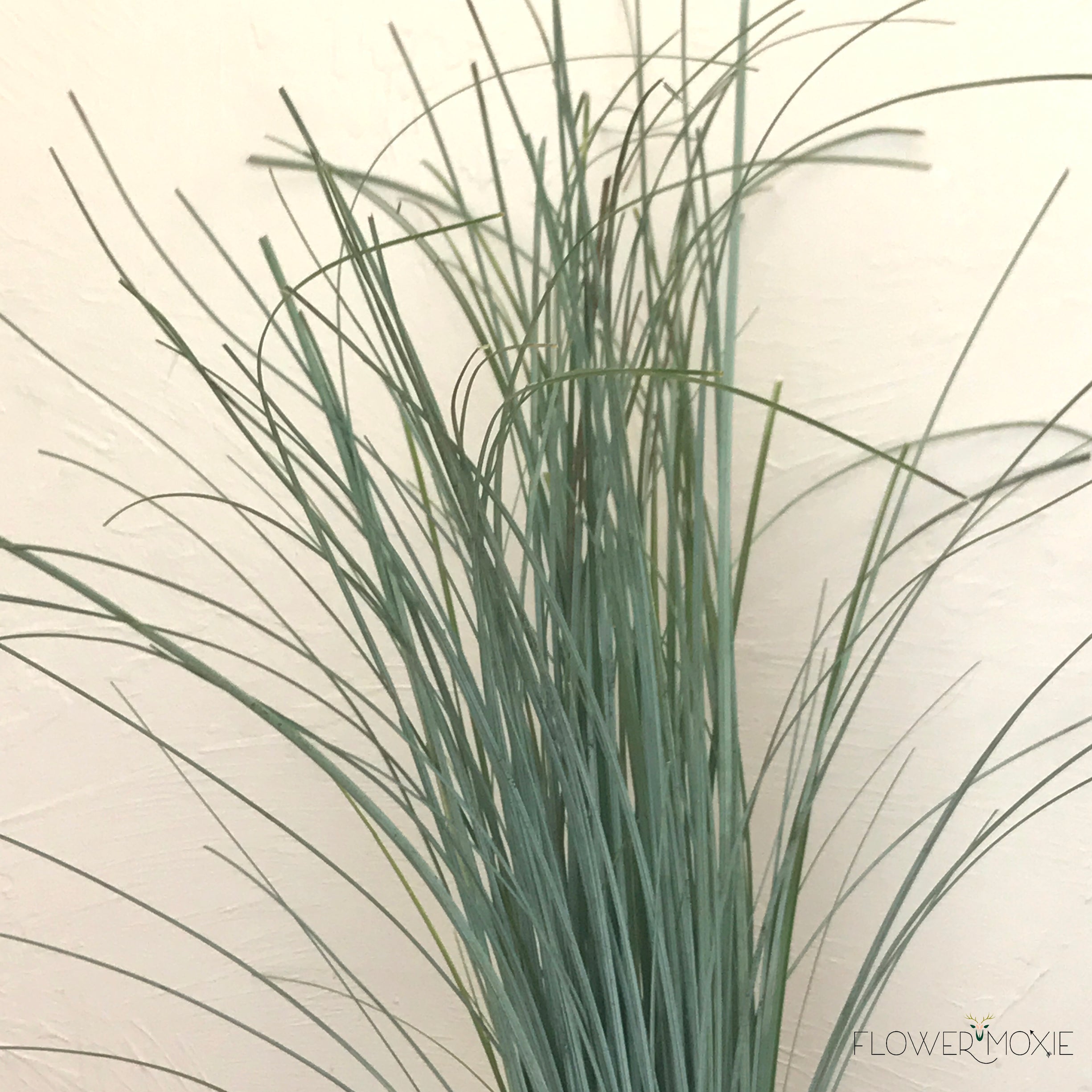 Bear Grass Greenery | DIY Wedding Flowers | Flower Moxie