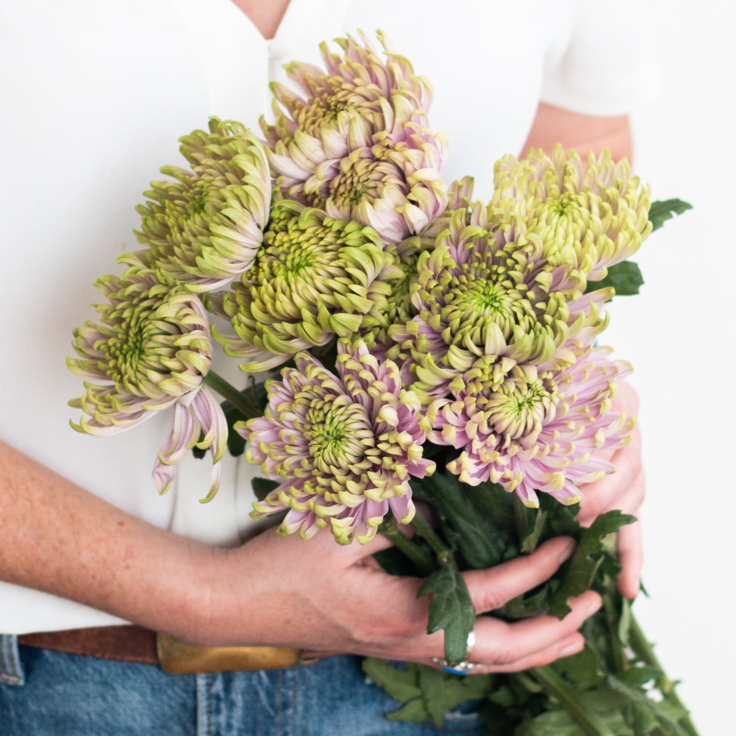 Lavender and Green Cremone Flower | DIY Wedding Flowers | Flower Moxie