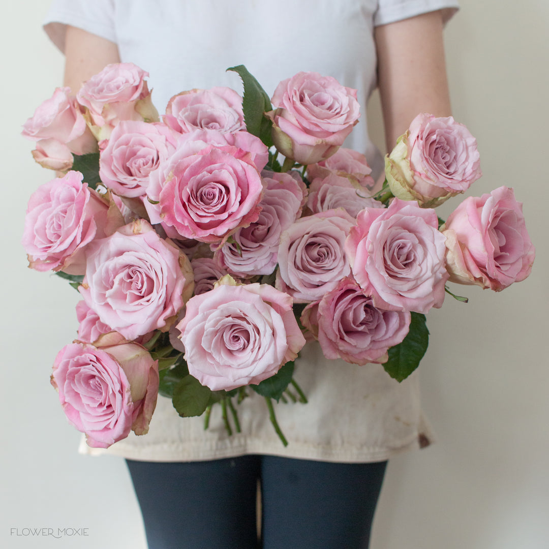 Faith Mauve Roses | Bulk Fresh DIY Wedding Flowers | Flower Moxie