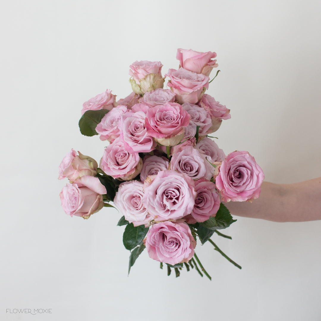 Faith Mauve Roses | Bulk Fresh DIY Wedding Flowers | Flower Moxie