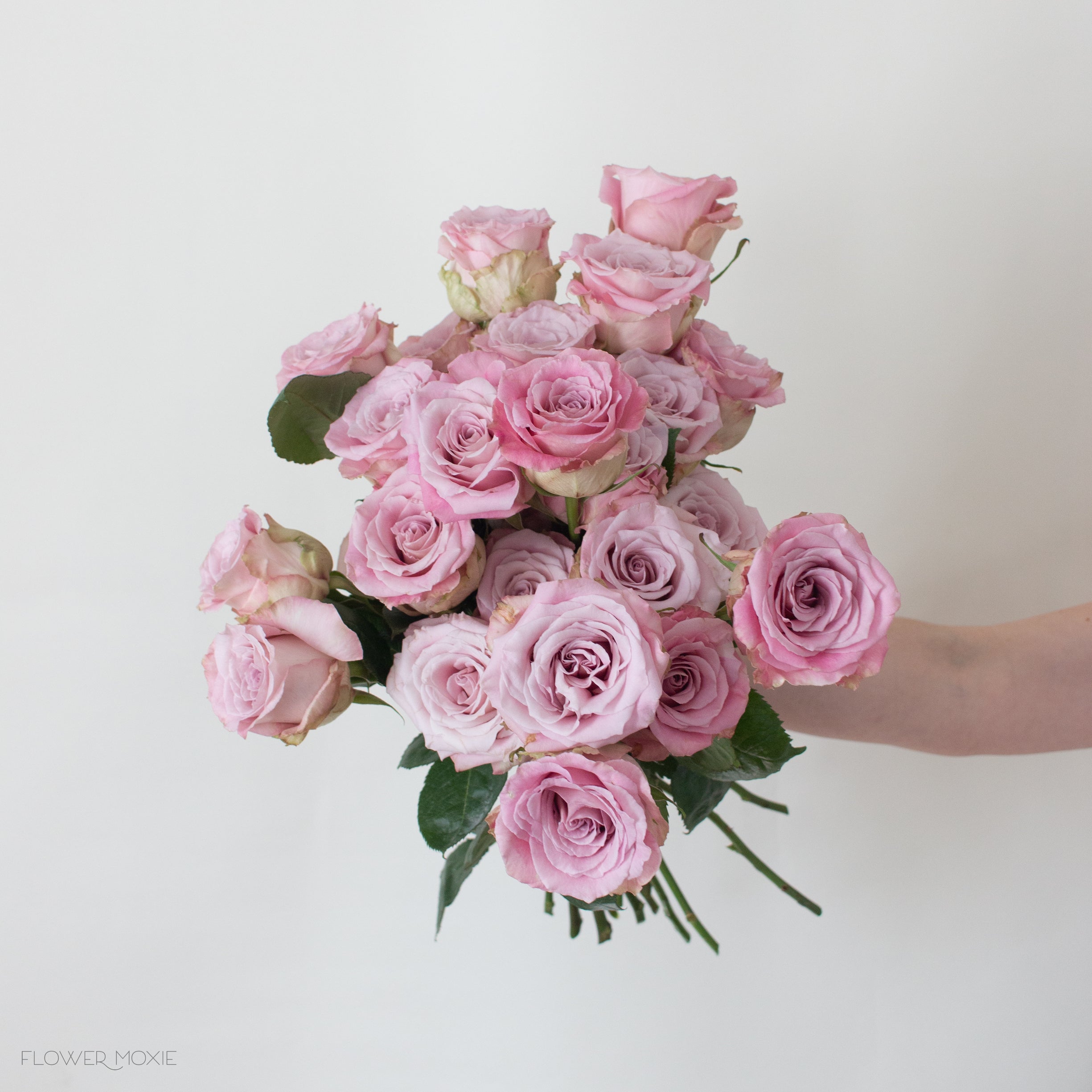 Faith Mauve Roses | Bulk Fresh DIY Wedding Flowers | Flower Moxie