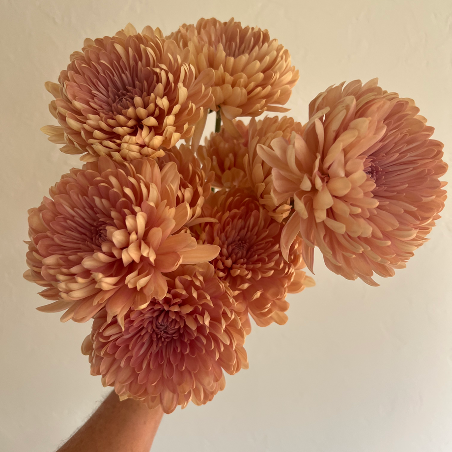 Cremone Flowers | DIY Wedding Flowers | Flower Moxie