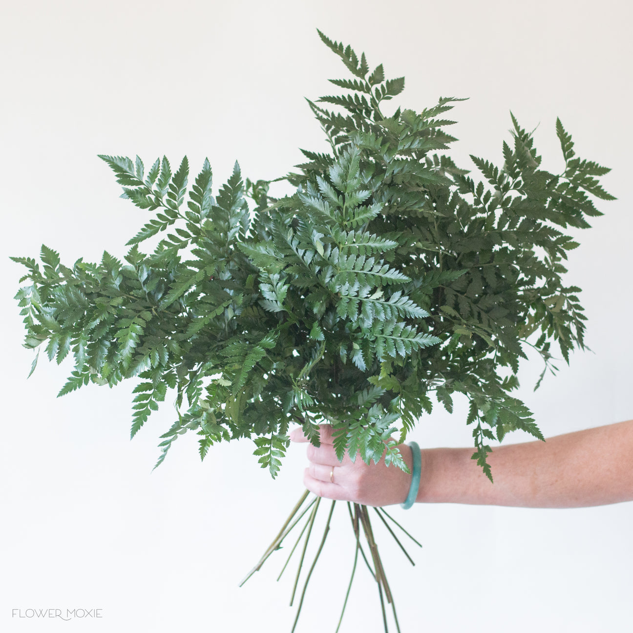 Leatherleaf Fern Greenery | DIY Wedding Flowers | Flower Moxie