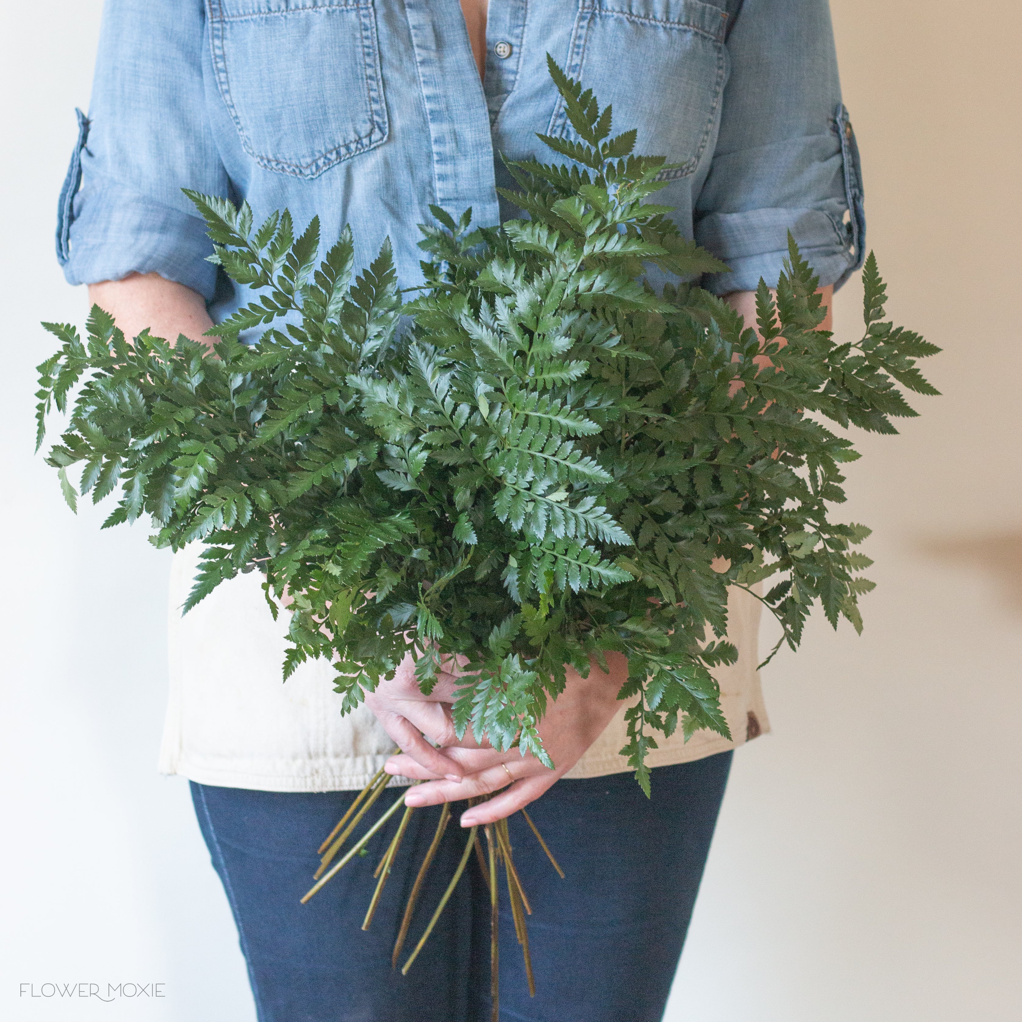 Leatherleaf Fern Greenery | DIY Wedding Flowers | Flower Moxie