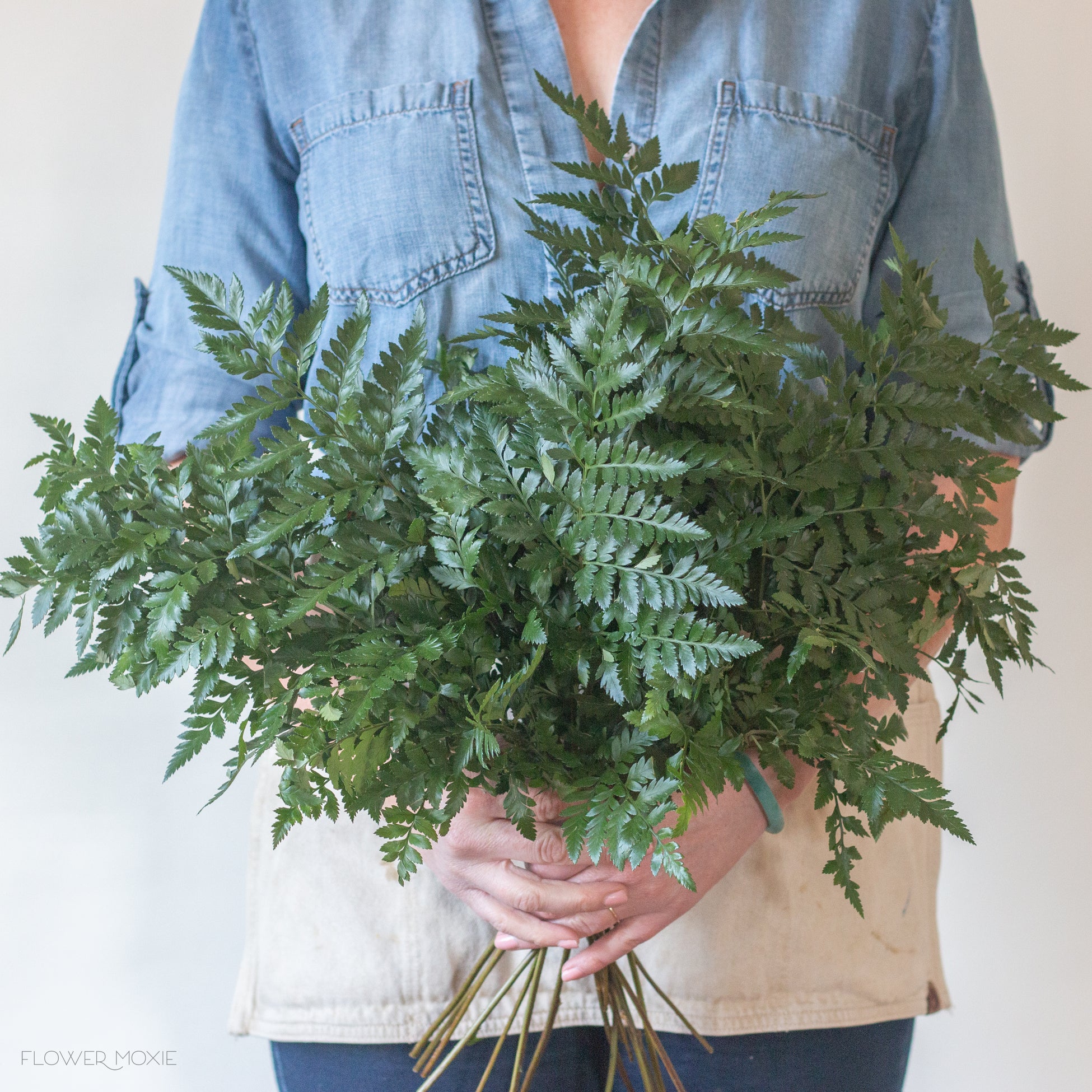 Leatherleaf Fern Greenery | DIY Wedding Flowers | Flower Moxie