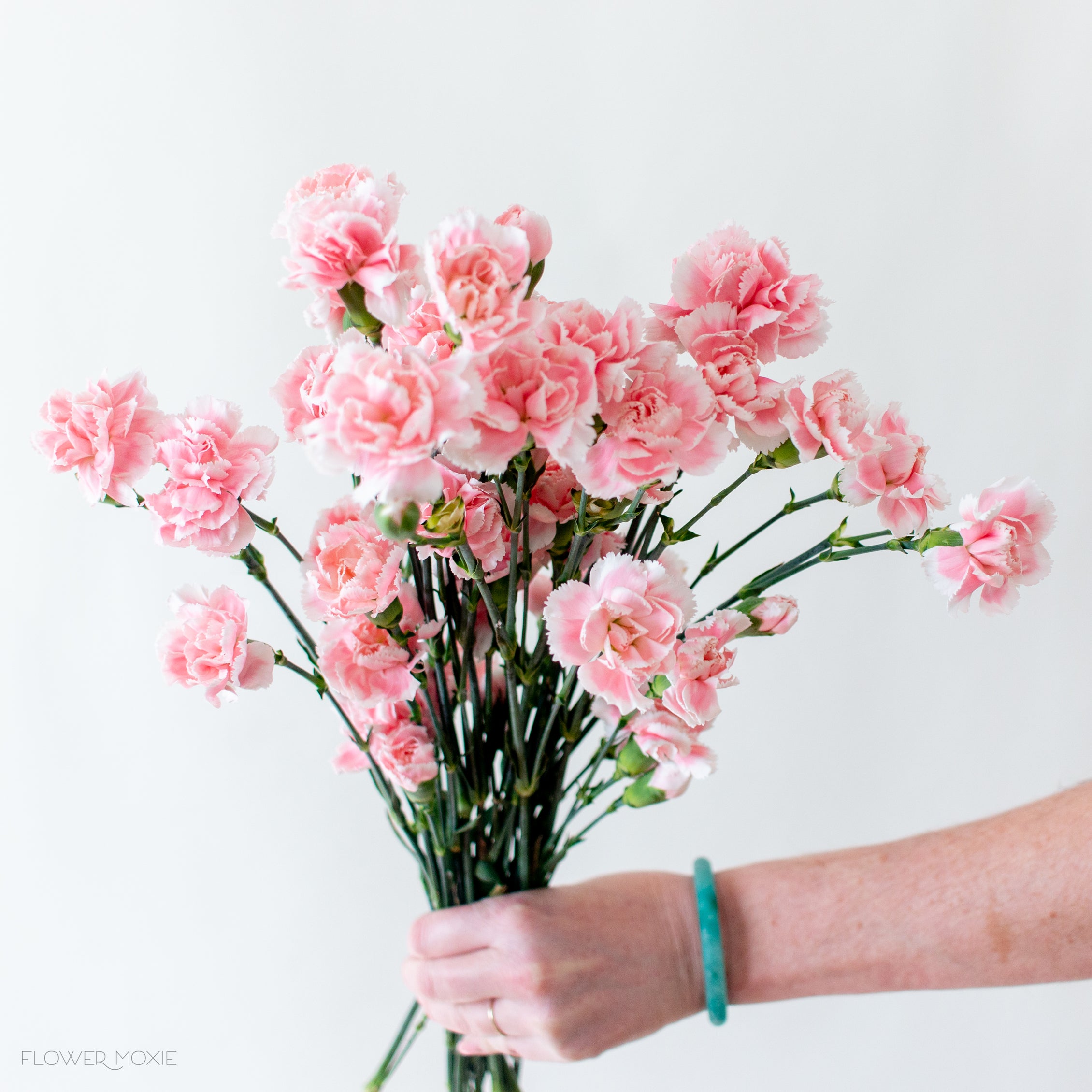 Light Pink Mini Carnations | DIY Wedding Flowers | Flower Moxie