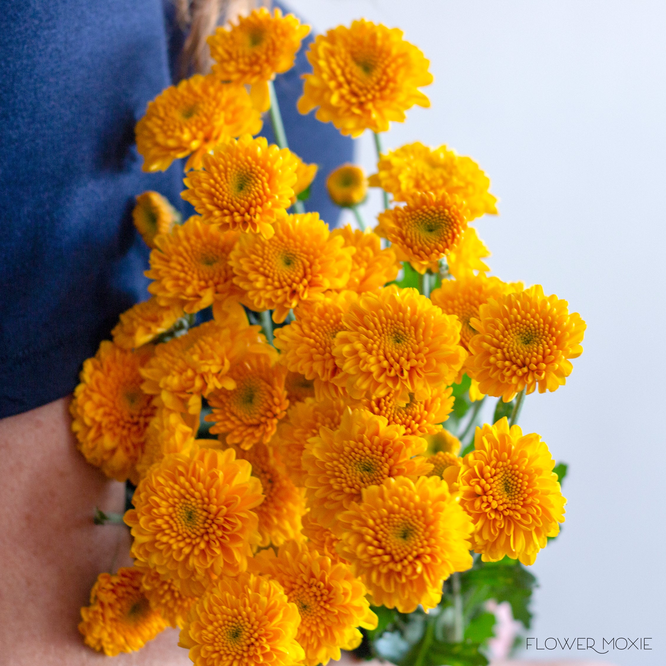 Yellow Button Pom Flower | DIY Wedding Flowers | Flower Moxie