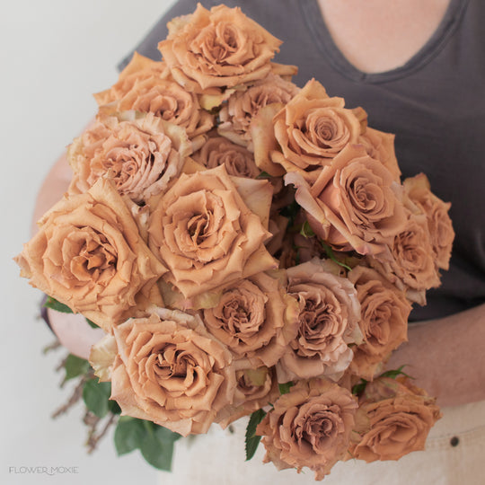 Tan Toffee Roses | Bulk Fresh DIY Wedding Flowers | Flower Moxie