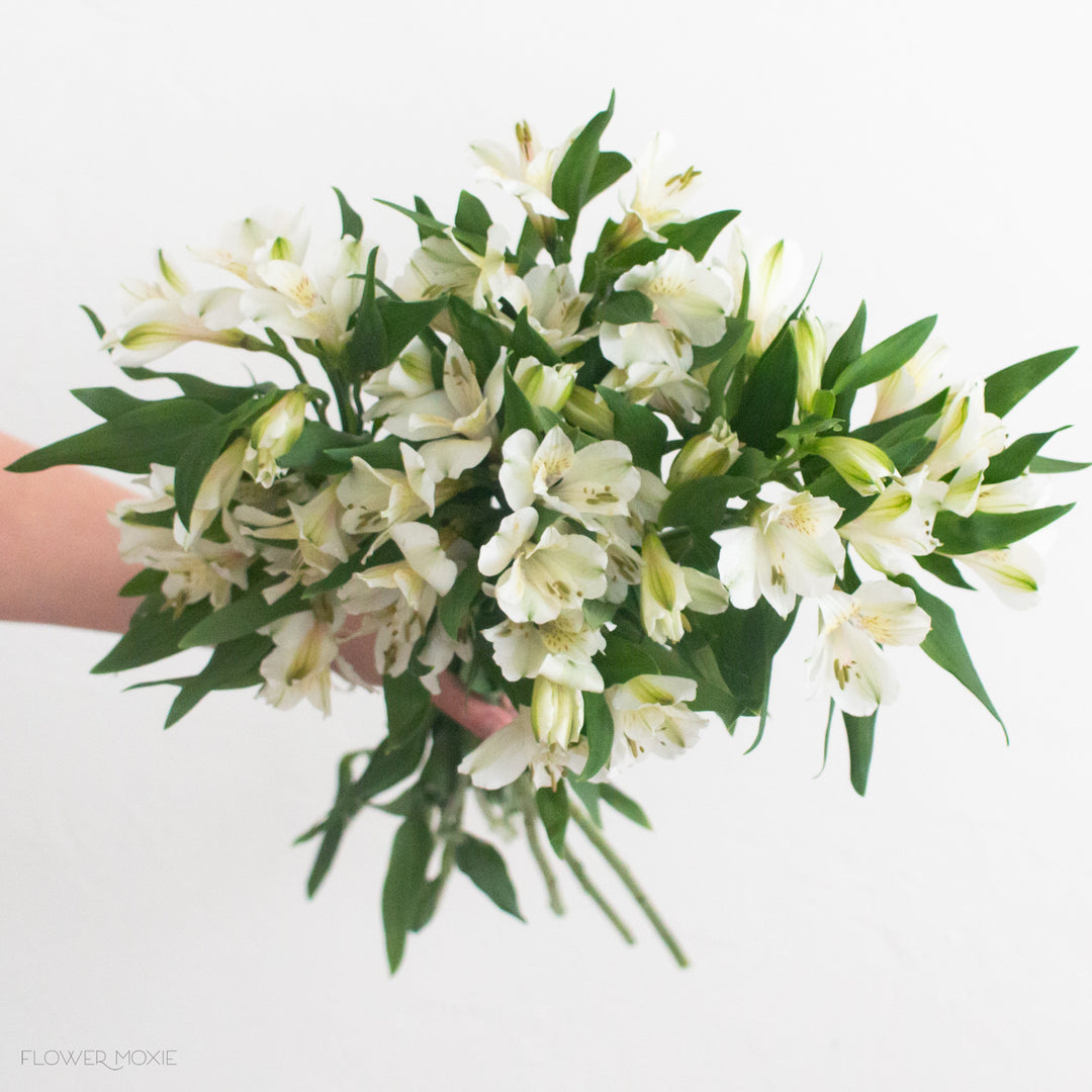 White Alstroemeria Flower | DIY Wedding Flowers | Flower Moxie