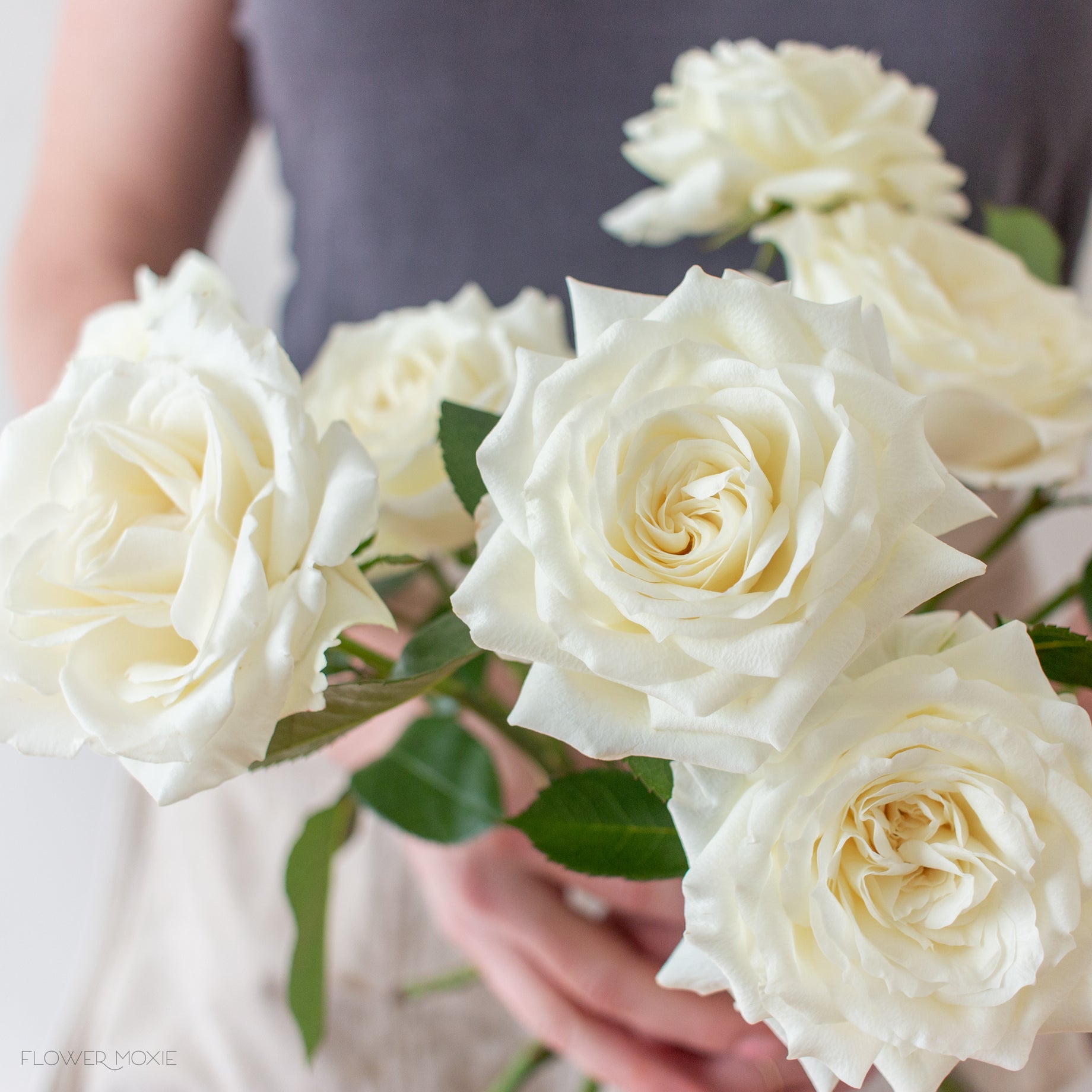Garden Roses | DIY Fresh Wedding Flowers | Flower Moxie