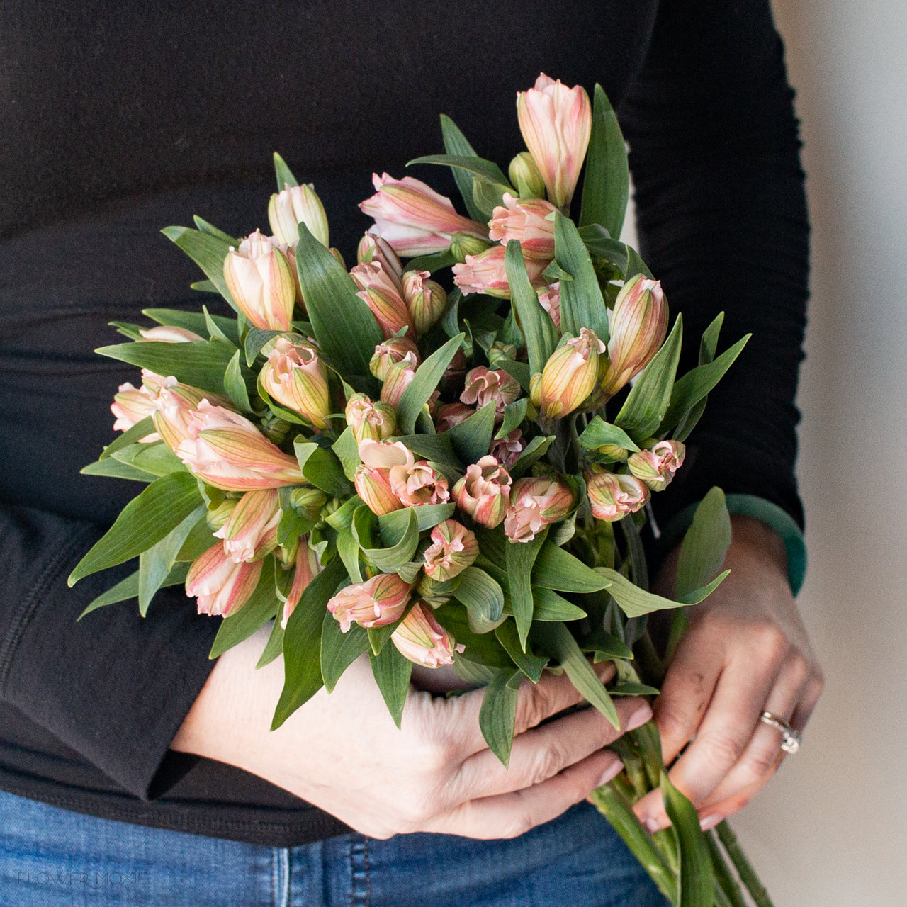 Alstroemeria Flowers | Bulk DIY Wedding Flowers | Flower Moxie