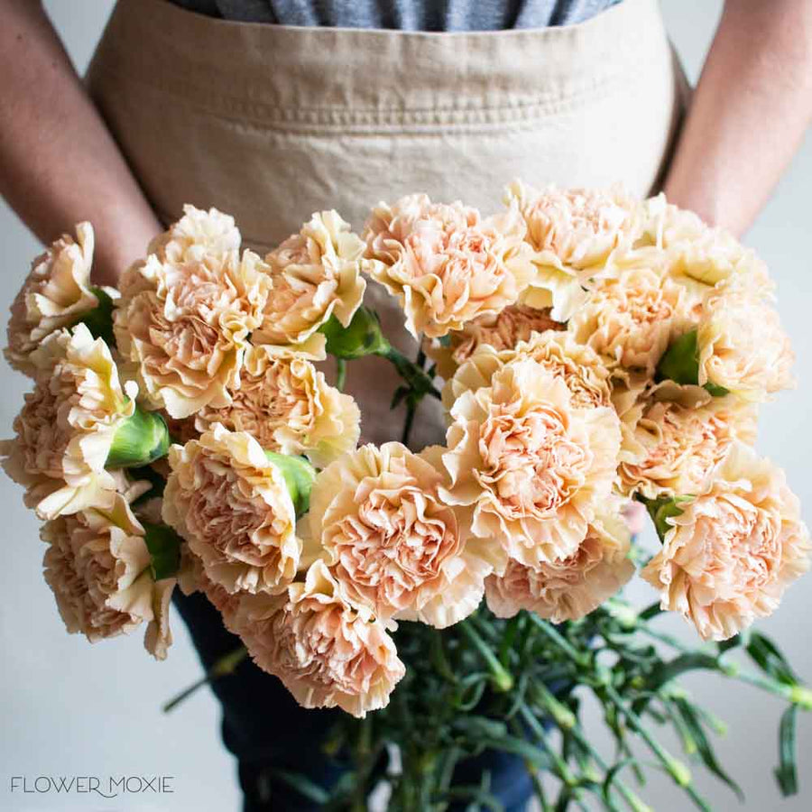 Terracotta Carnations | Bulk DIY Wedding Flowers | Flower Moxie