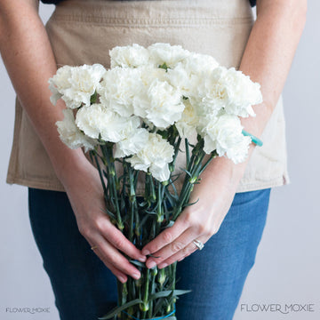White Carnations | Bulk Fresh DIY Wedding Flowers | Flower Moxie