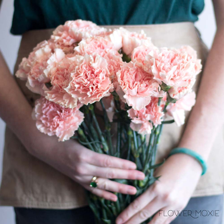 Blush Carnations | Bulk Fresh DIY Wedding Flowers | Flower Moxie