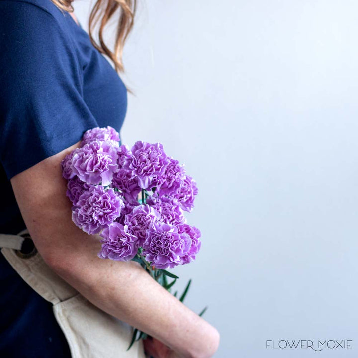 Lavender Carnations | Bulk DIY Wedding Flowers | Flower Moxie