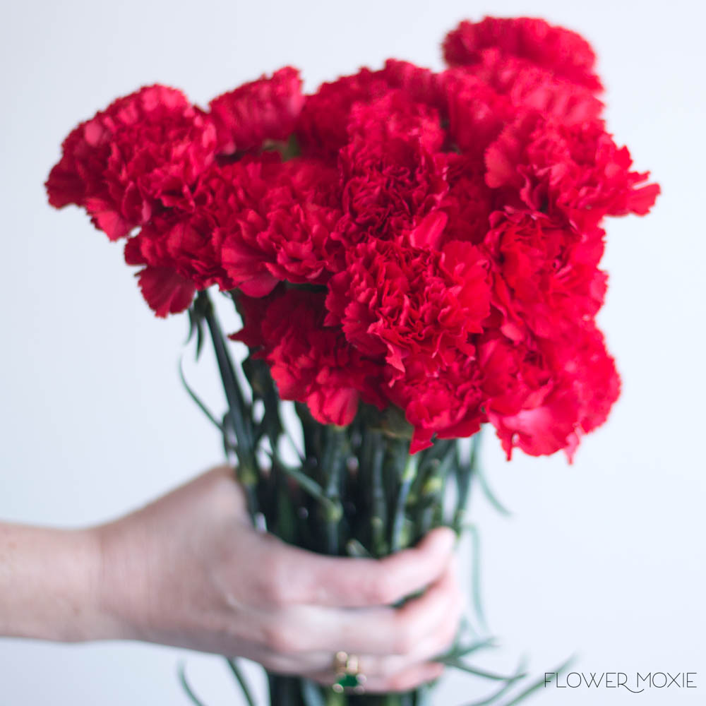 red carnations