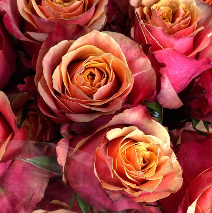 Cherry Brandy Roses | Fresh DIY Wedding Flowers | Flower Moxie