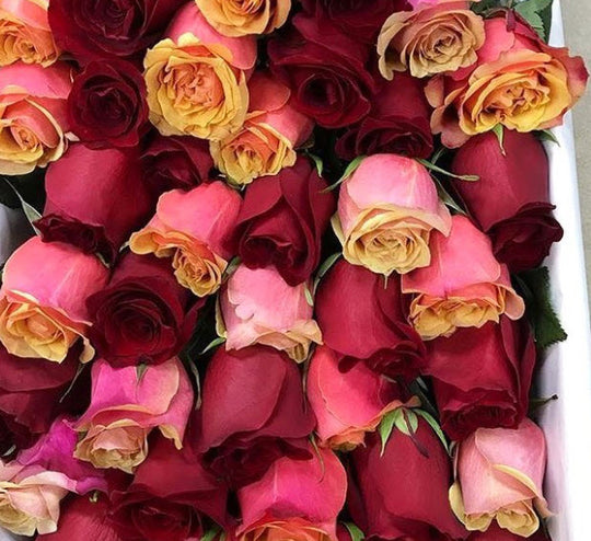 Cherry Brandy Roses | Fresh DIY Wedding Flowers | Flower Moxie