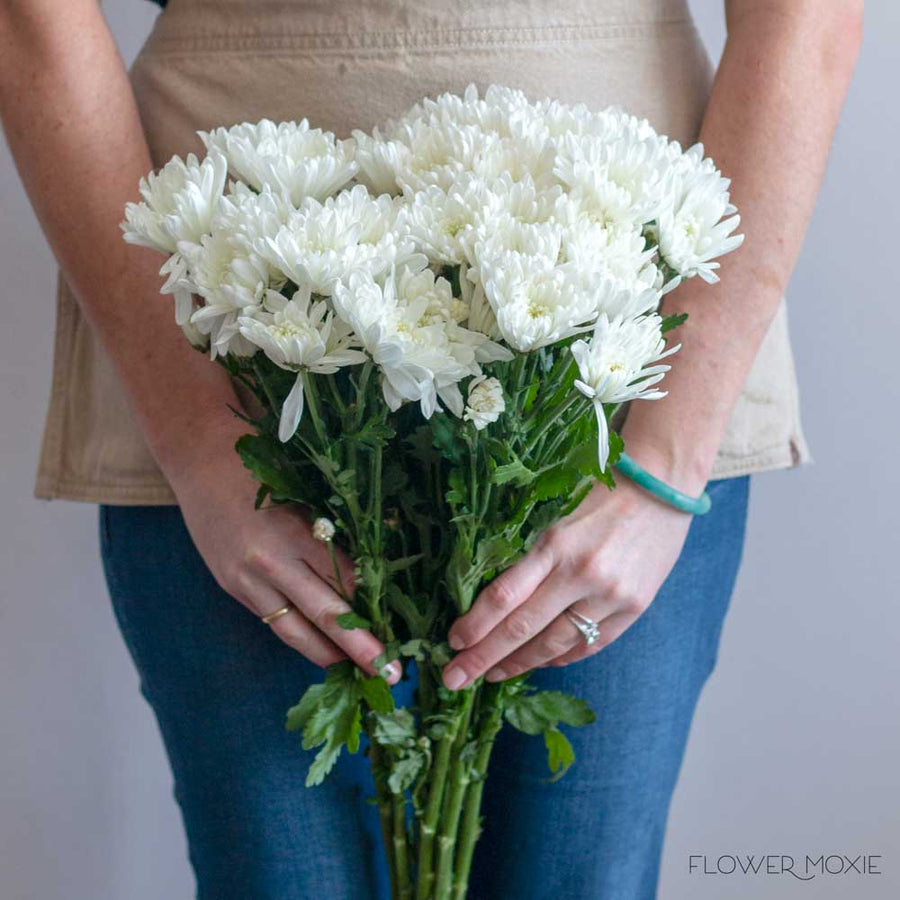 White Cushion Pom Flower | DIY Wedding Flowers | Flower Moxie
