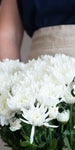 White Cushion Pom Flower | DIY Wedding Flowers | Flower Moxie