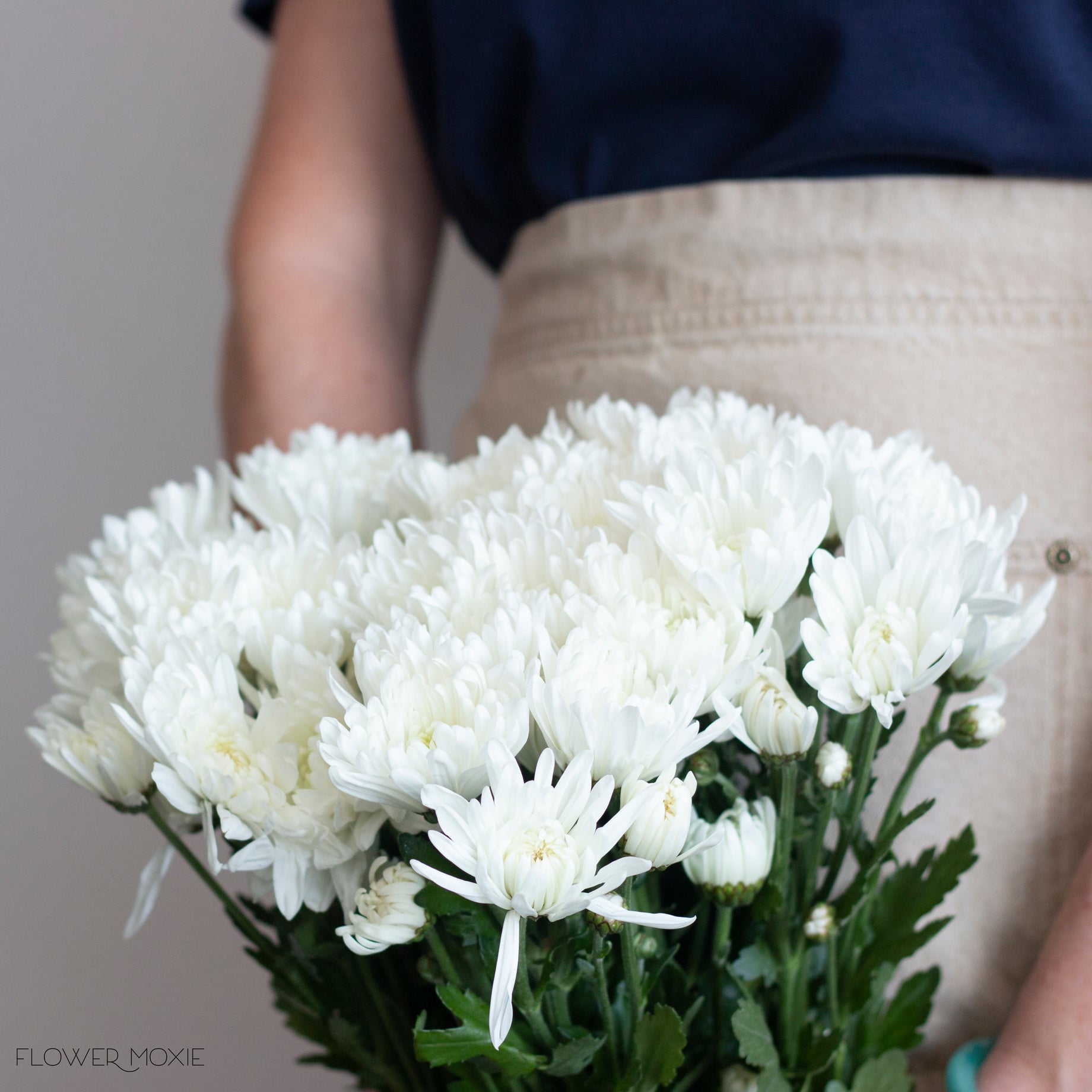 Daisy & Pom Flowers | Bulk Fresh Wedding Flowers | Flower Moxie